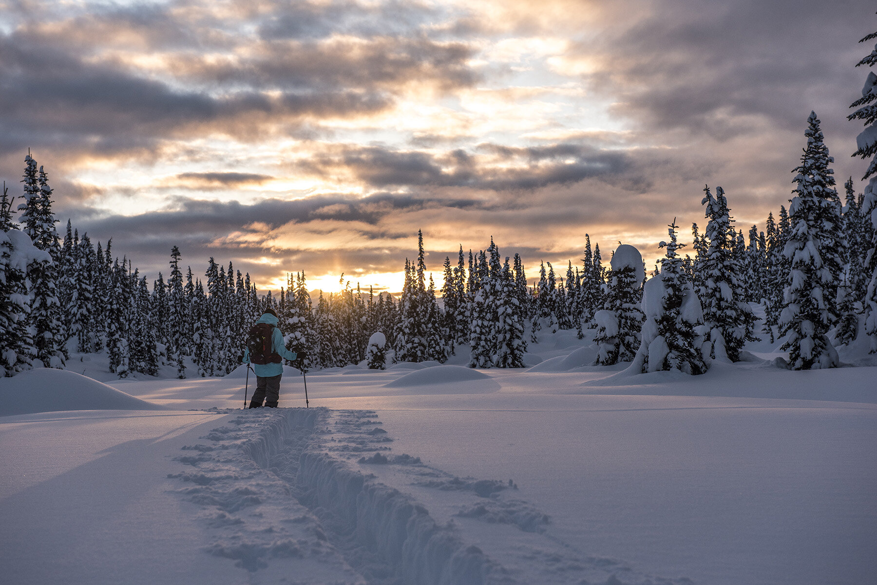 Callaghan Valley Snowshoeing | Callaghan Country