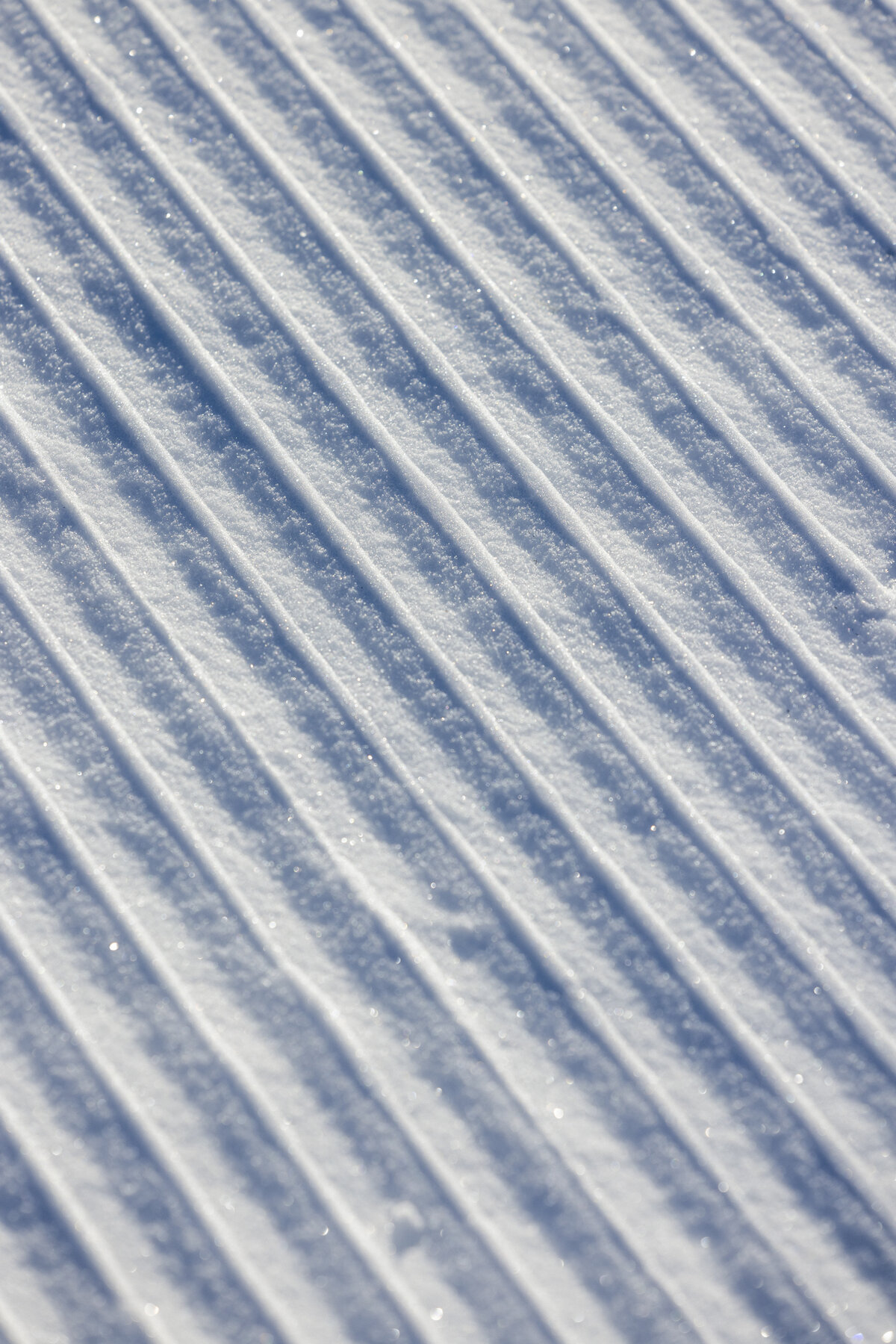 Cross Country Skiing