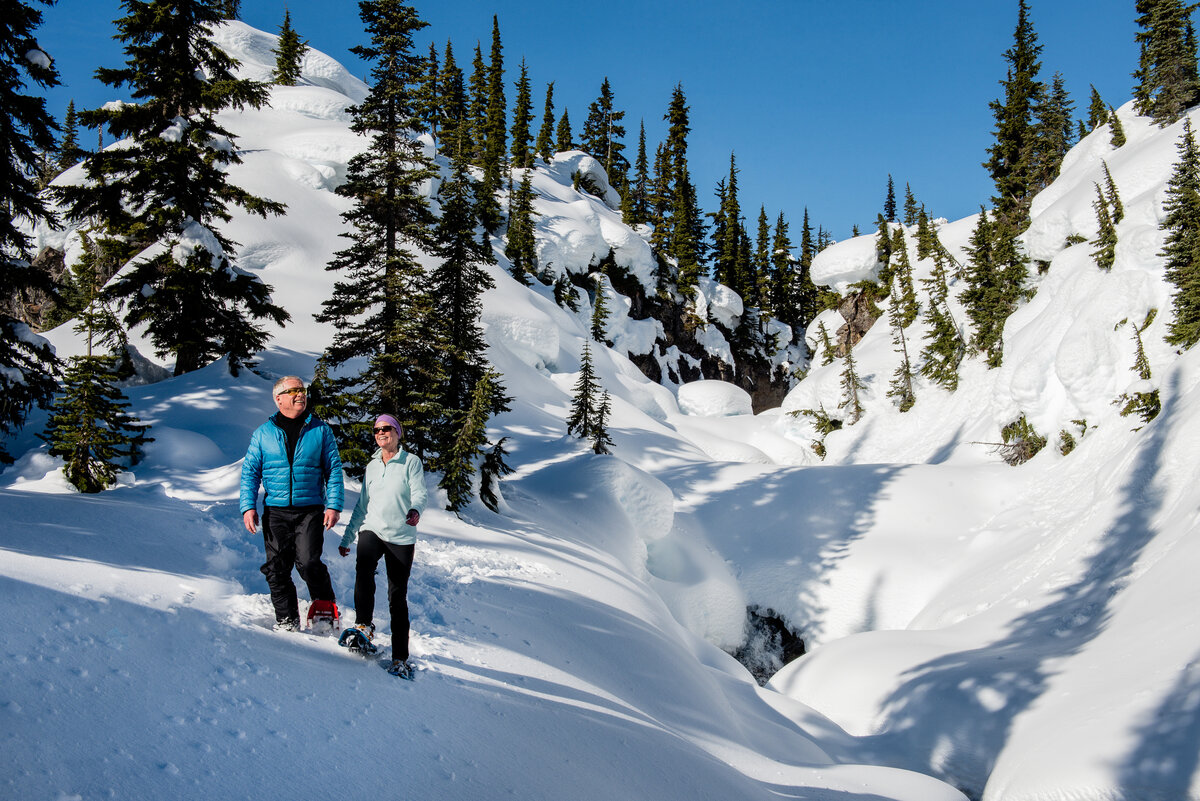 Backcountry Guided Tours in Whistler | Callaghan Country