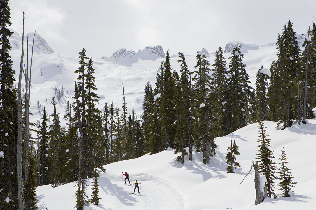 Backcountry Guided Tours in Whistler | Callaghan Country
